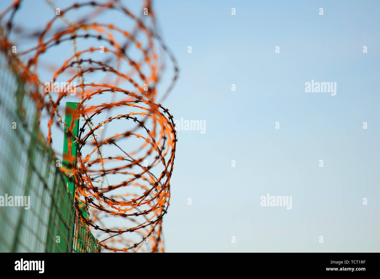 Roll of razor wire on top of security fence Stock Photo - Alamy