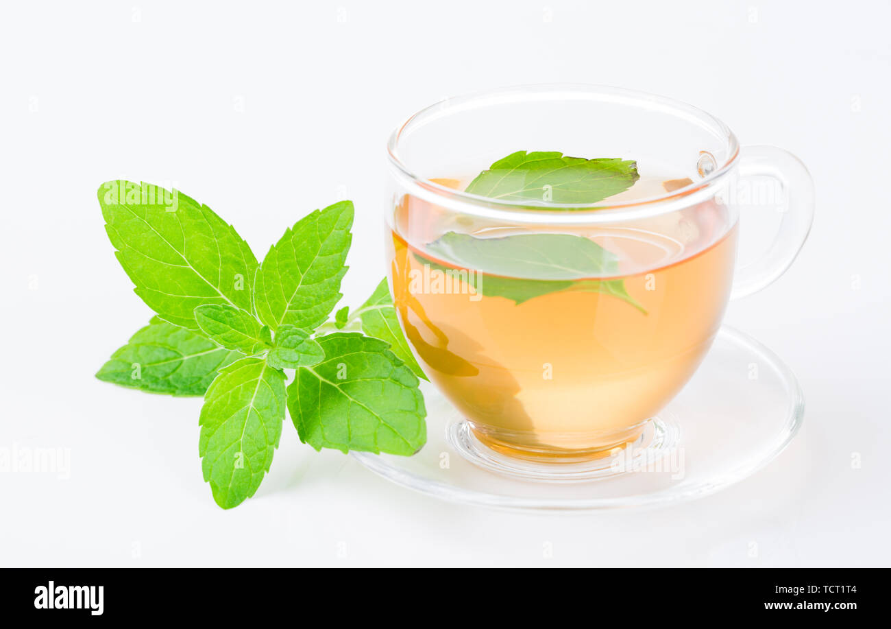 Peppermint tea and fresh peppermint leaves on white background Stock ...