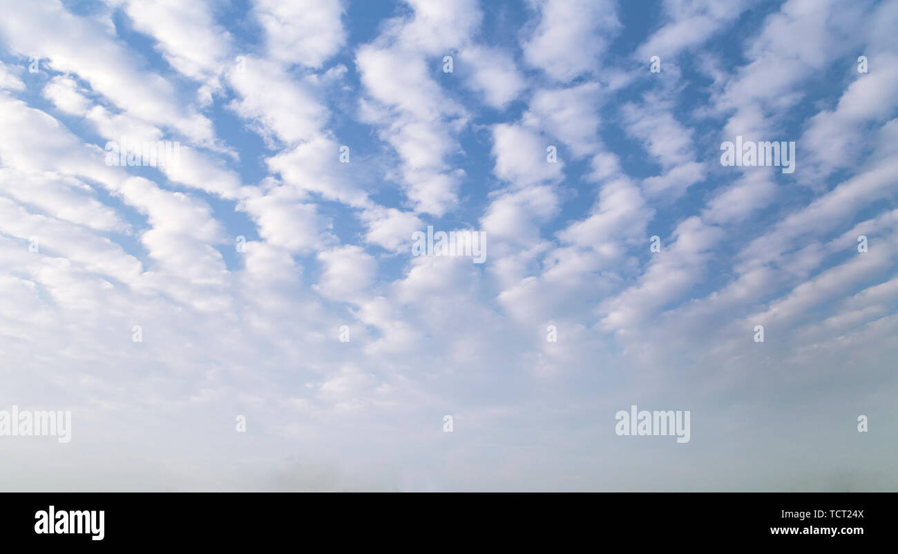 Flocculent hi-res stock photography and images - Alamy