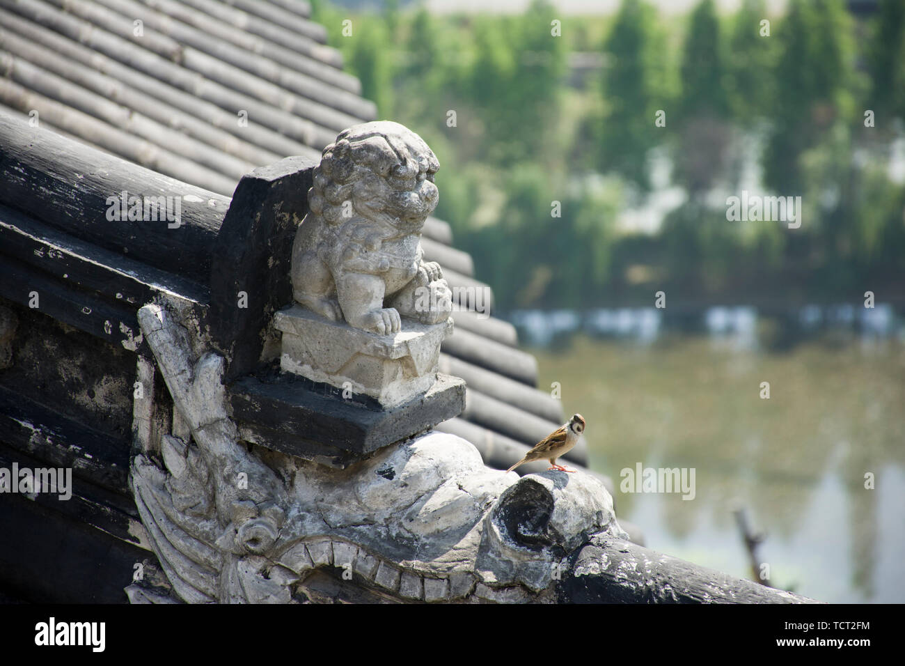 Baihe hi-res stock photography and images - Alamy