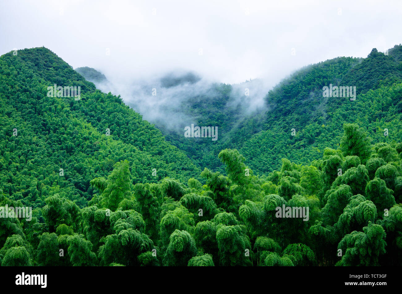 The scenery of Da Zhuhai in western Zhejiang (Photo in Luo hometown ...