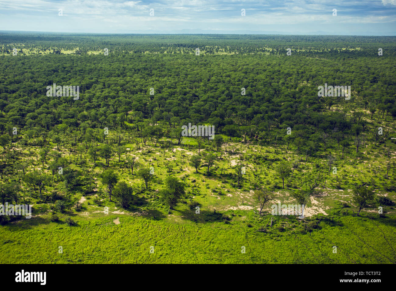 Africa, Zimbabwe, animals, nature pristine, Zambezi river, panorama ...
