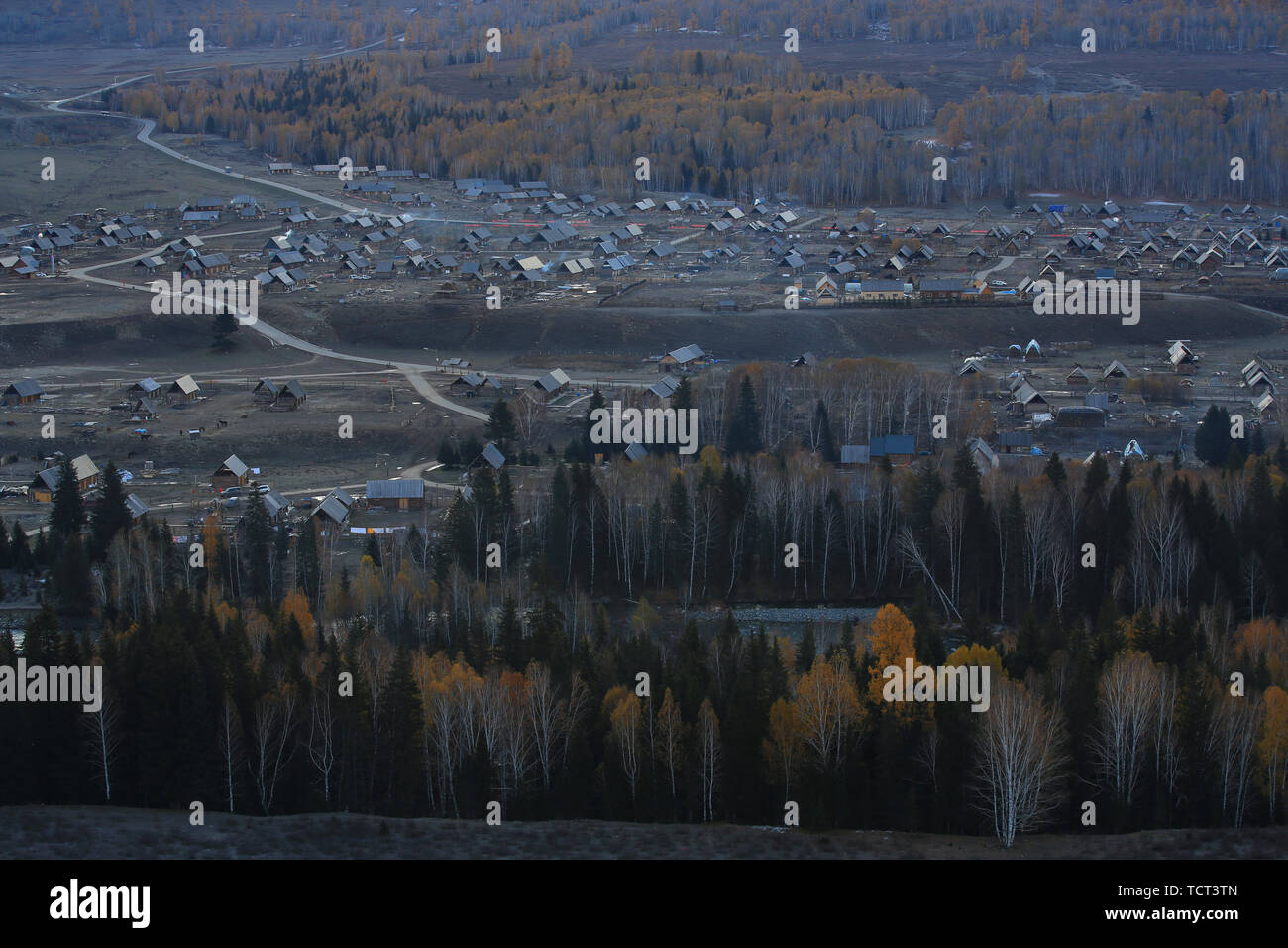 Autumn color of grasses Stock Photo - Alamy