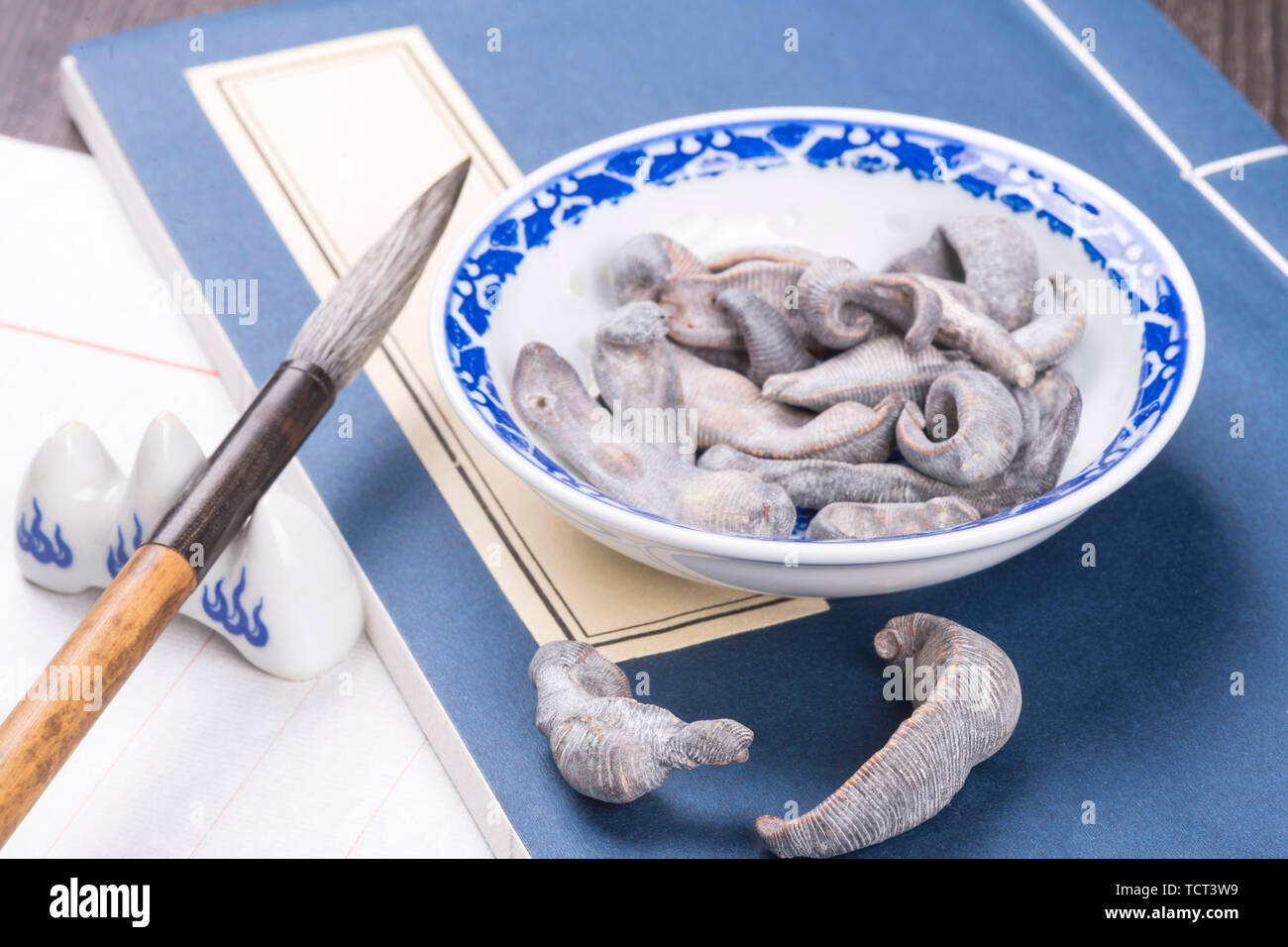 Hot leech hi-res stock photography and images - Alamy