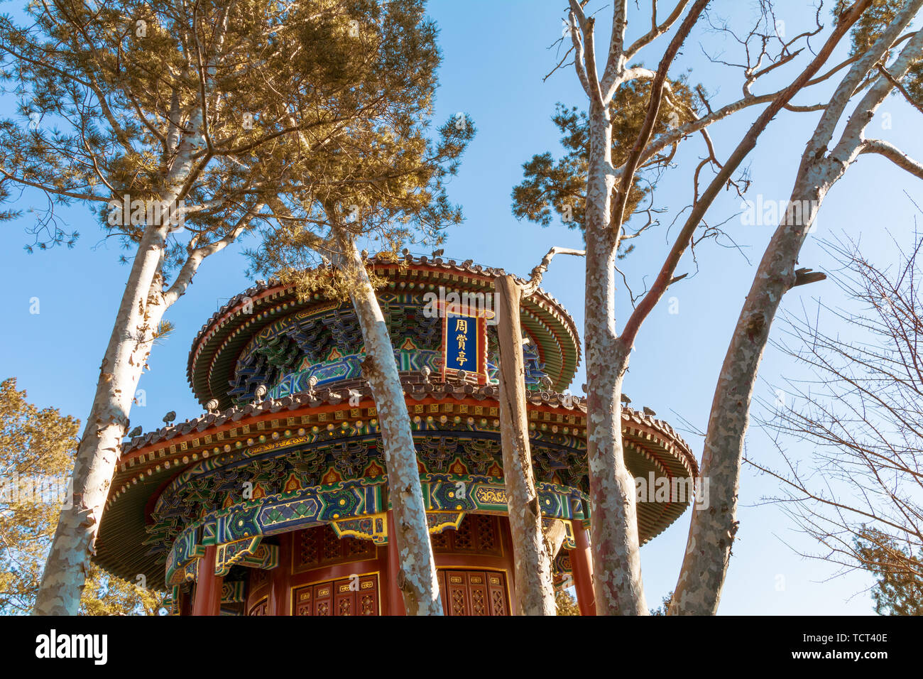 Ancient visual record hi-res stock photography and images - Alamy