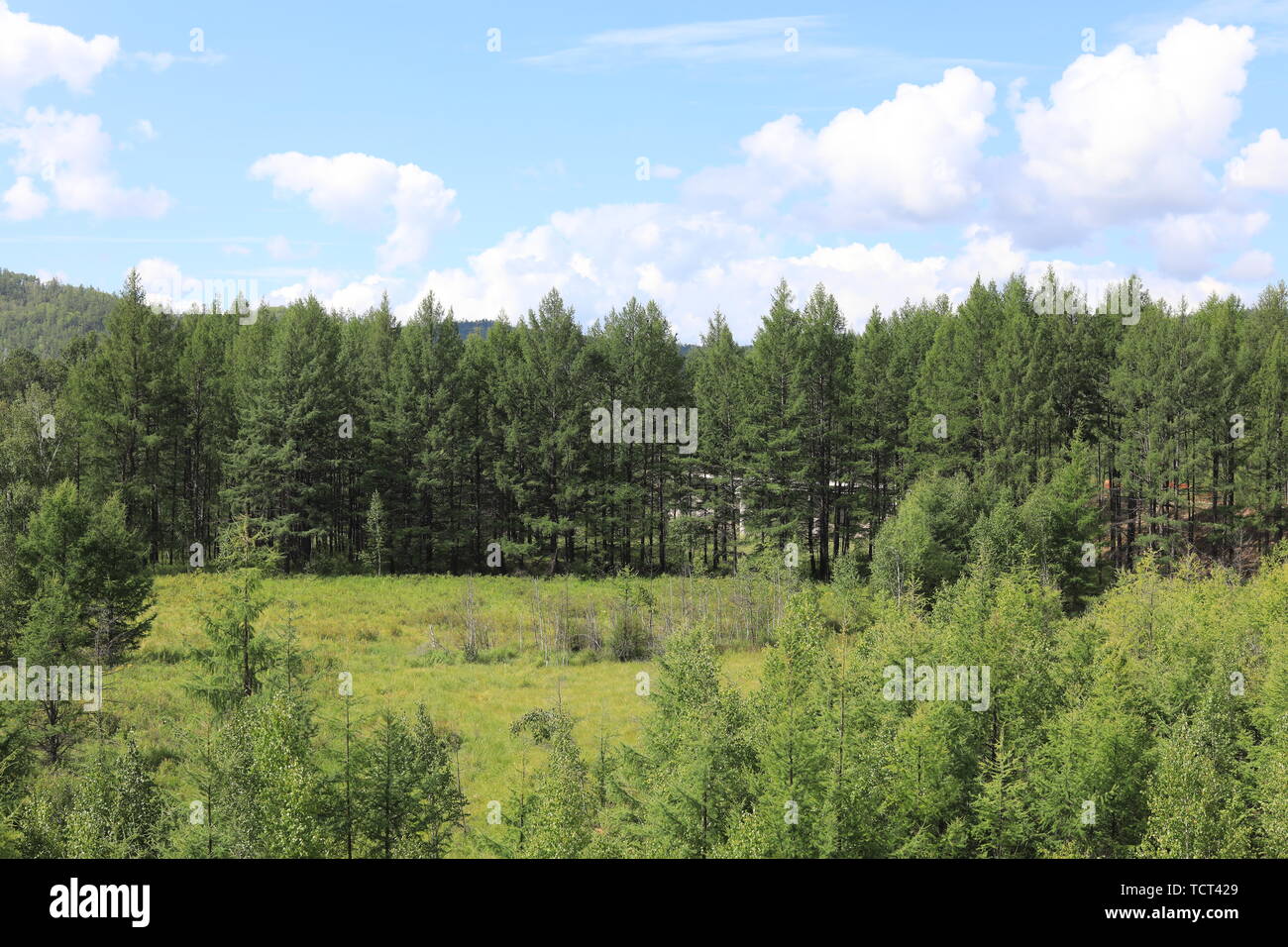 The mordaoga forest park hi-res stock photography and images - Alamy