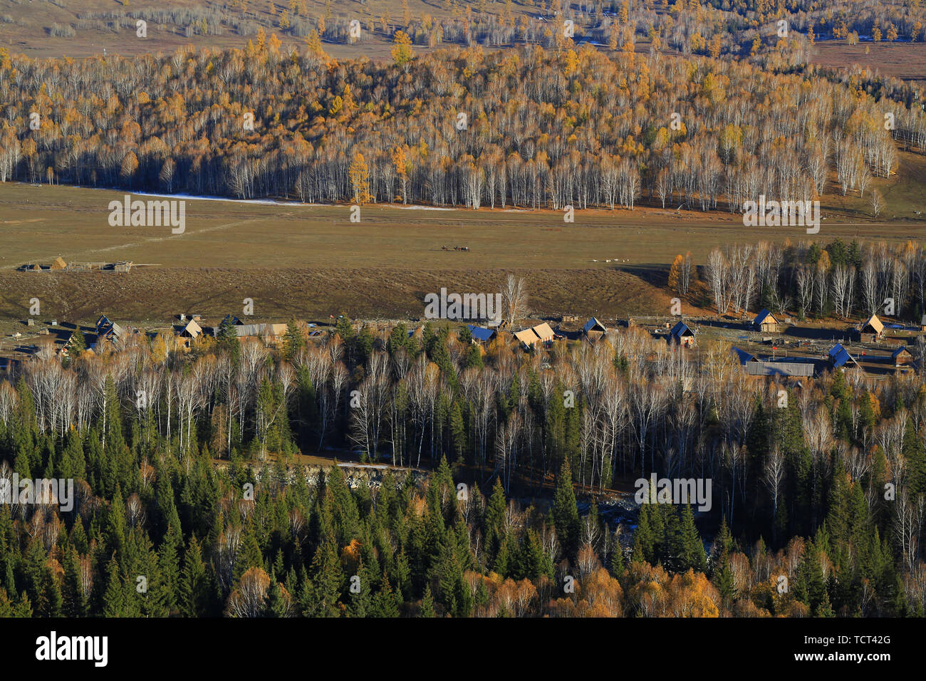 Autumn color of grasses Stock Photo - Alamy