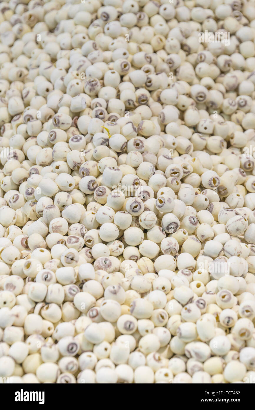 A bunch of white lotus seeds Stock Photo - Alamy
