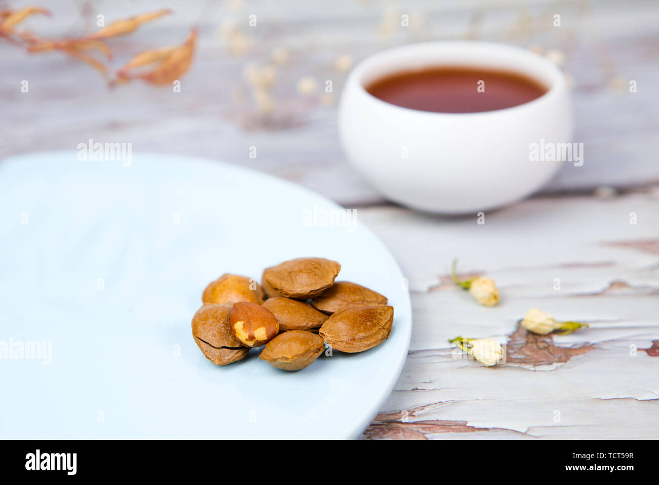 Open little Ginkgo biloba Stock Photo - Alamy