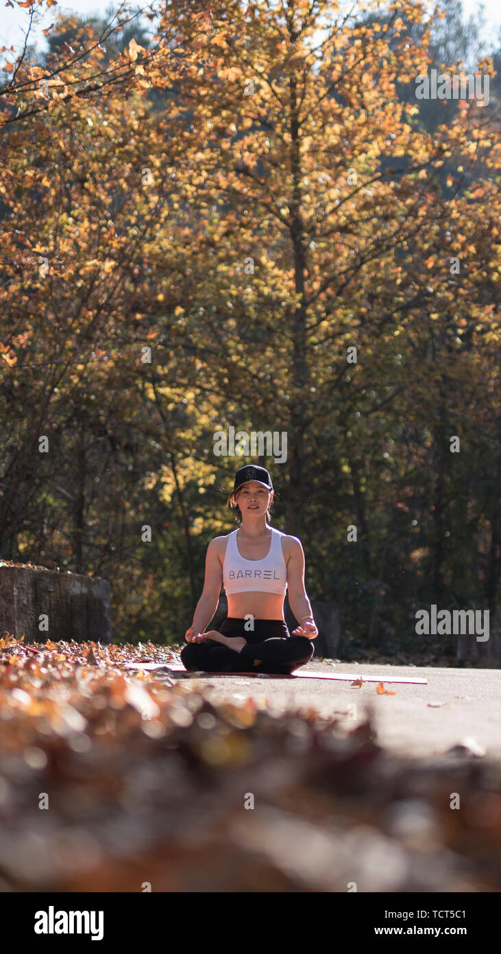 Outdoor autumn foliage scenery beautiful Stock Photo - Alamy