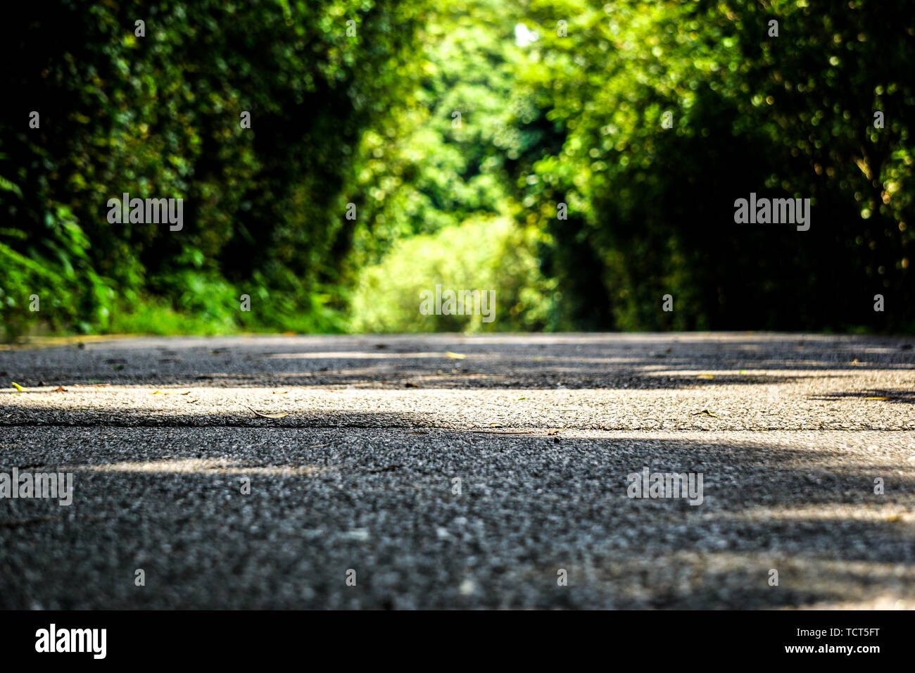 tai fu mountain forest park Stock Photo - Alamy