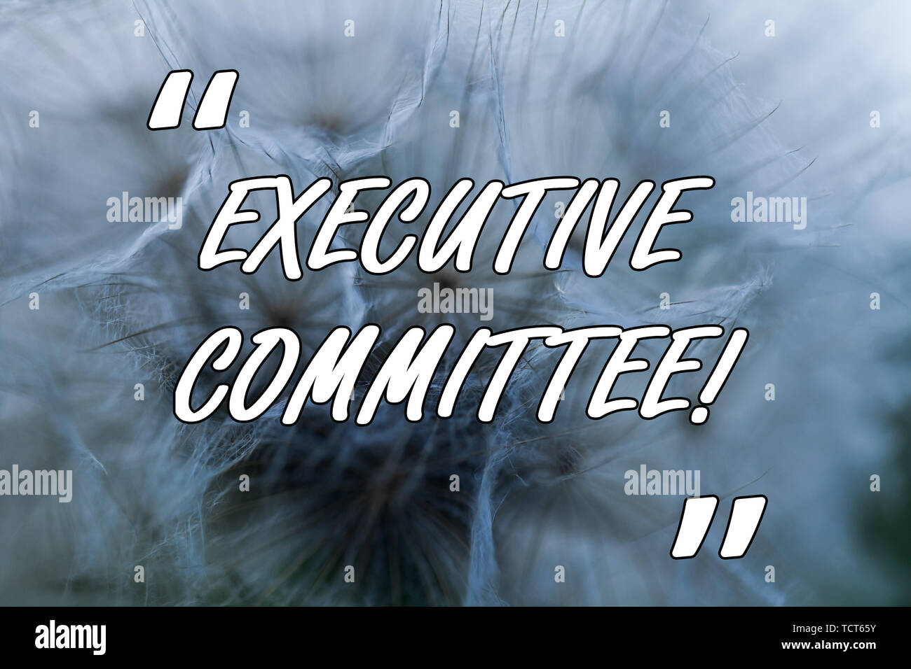 Conceptual hand writing showing Executive Committee. Concept meaning ...