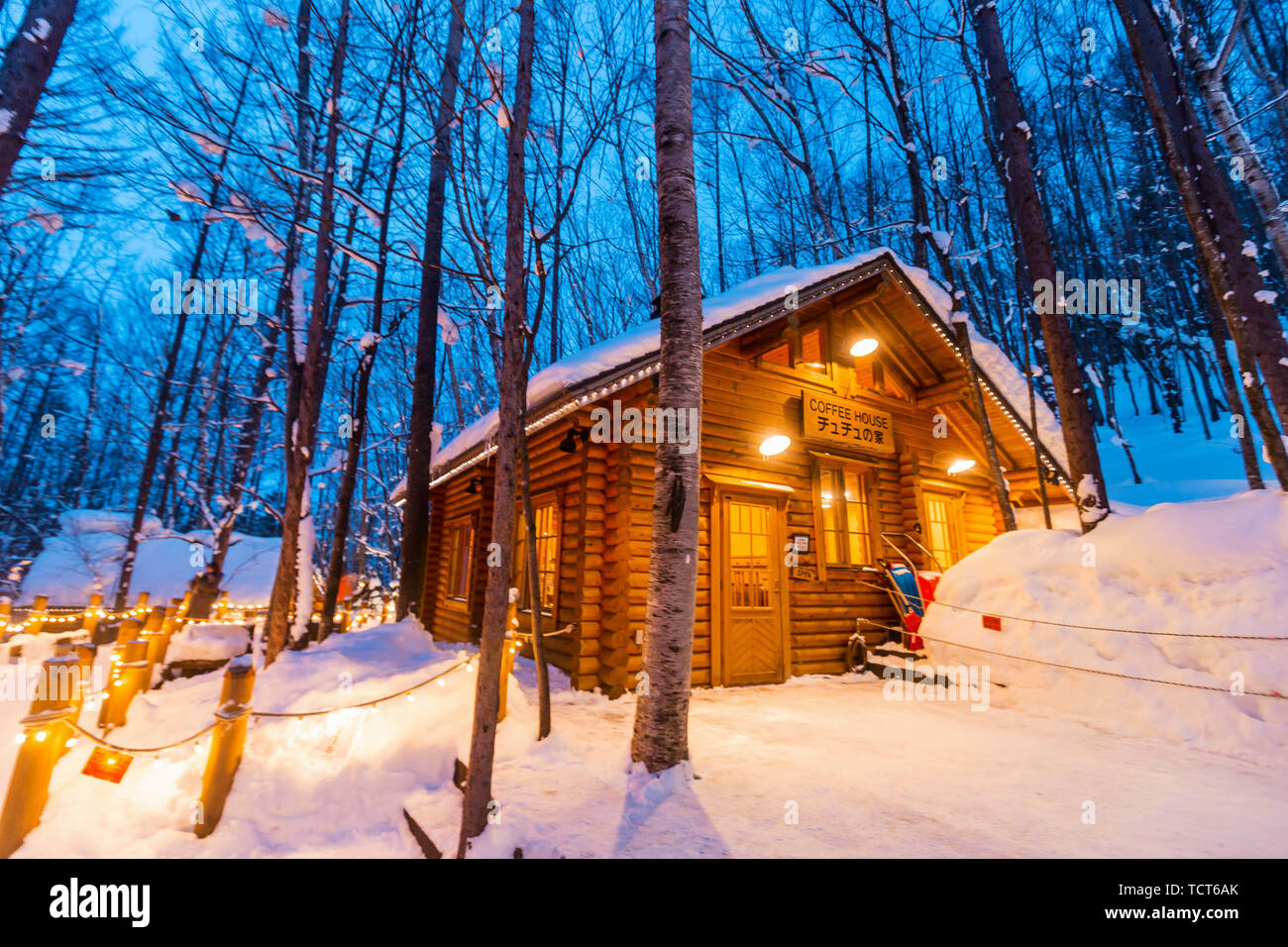 Hokkaido in winter is as pure as a fairy tale, and the forest elf ...