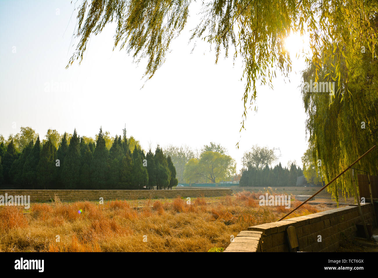 Guta park hi-res stock photography and images - Alamy