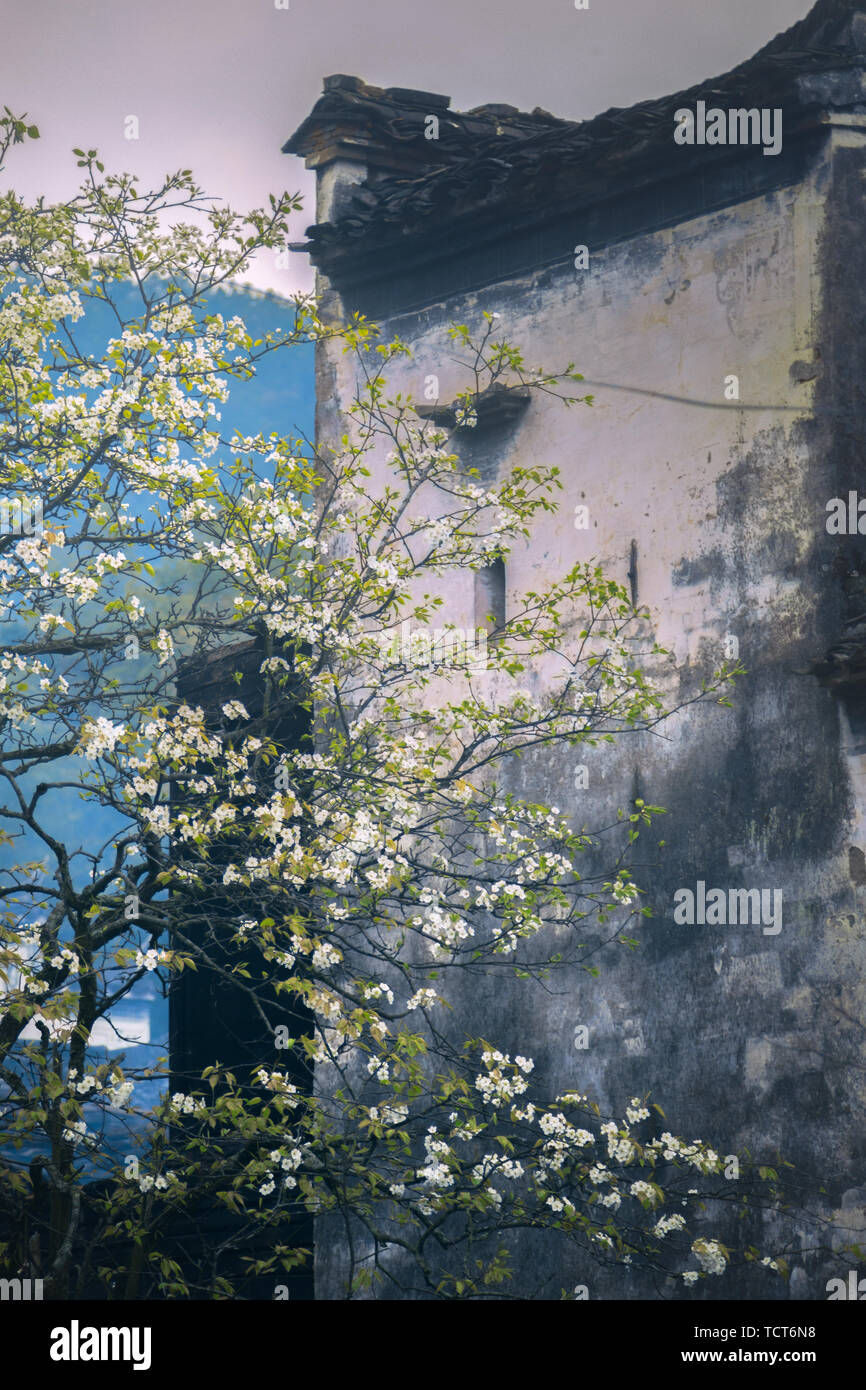 Damei scenery map Stock Photo - Alamy