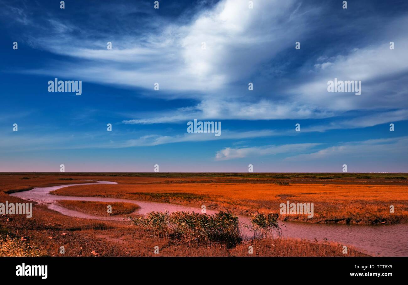 Photographed at Panjin Red Beach Stock Photo - Alamy