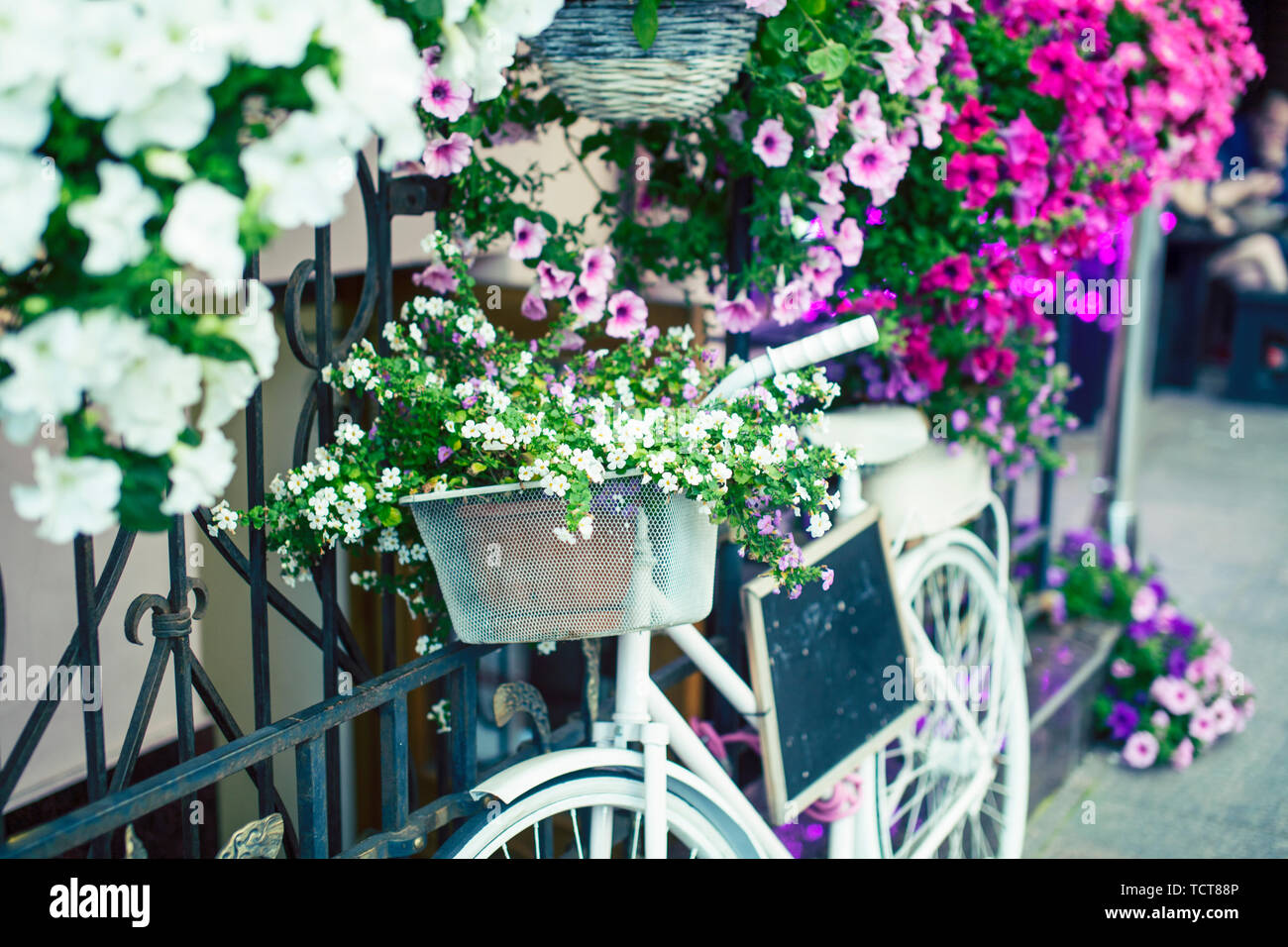 flower in basket of vintage bicycle on vintage wooden house wall ...