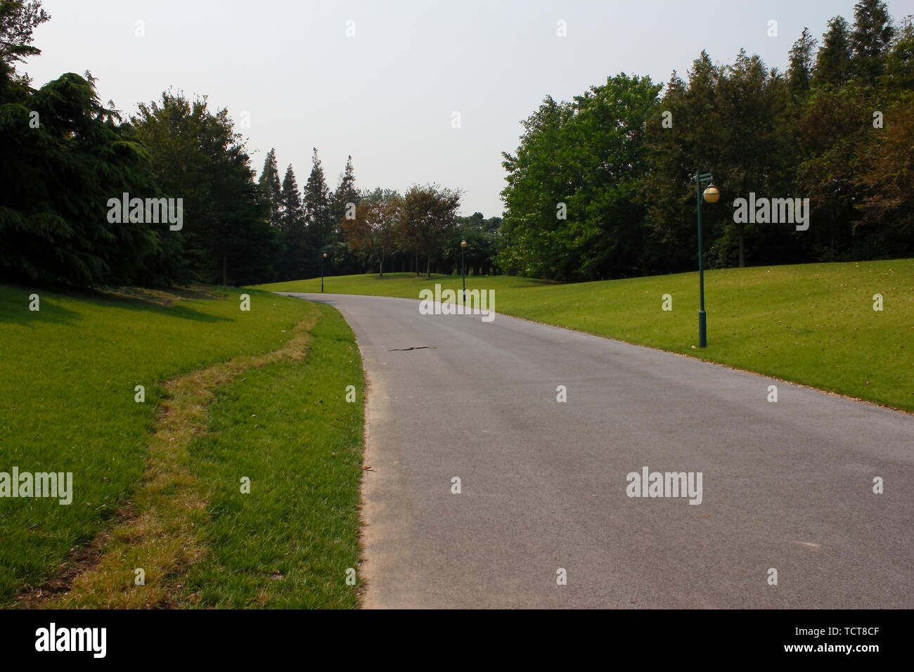 Shanghai Binjiang Forest Park Scenery Stock Photo - Alamy