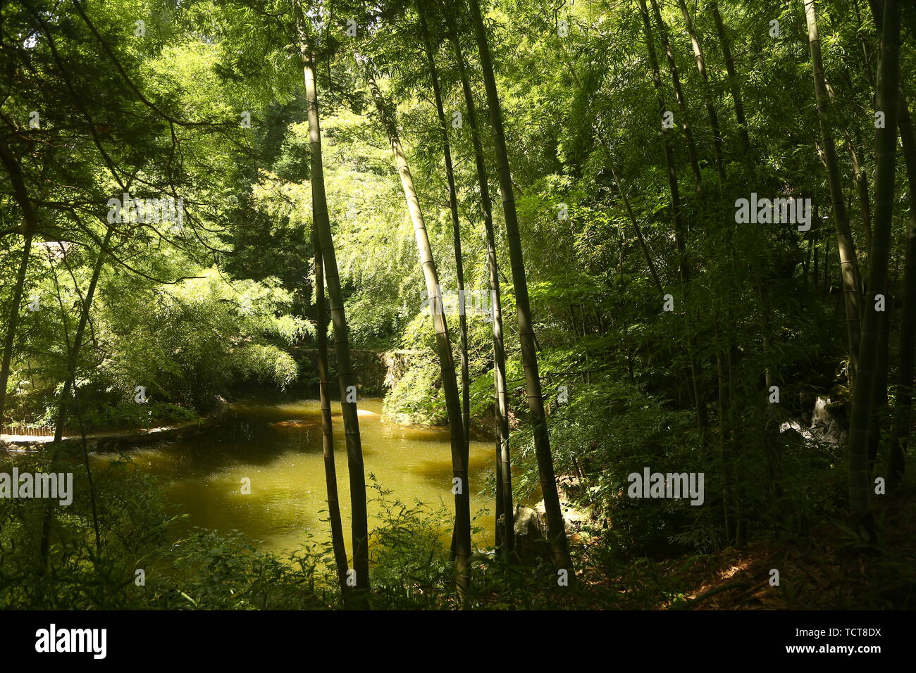 Jiangxi Lushan scenery picture, including Pokou scenic map, embroidery ...