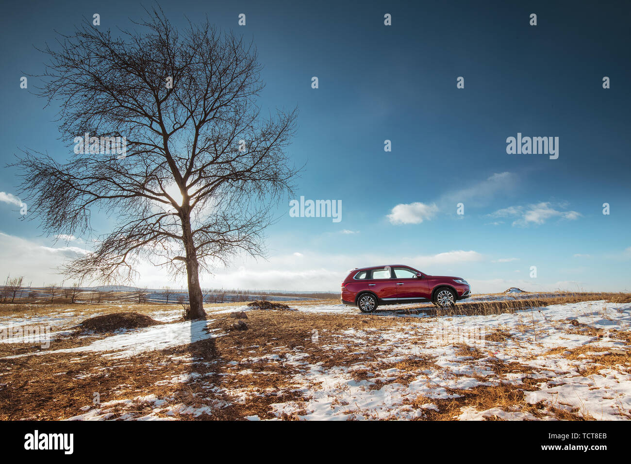 Fuyu hi-res stock photography and images - Alamy