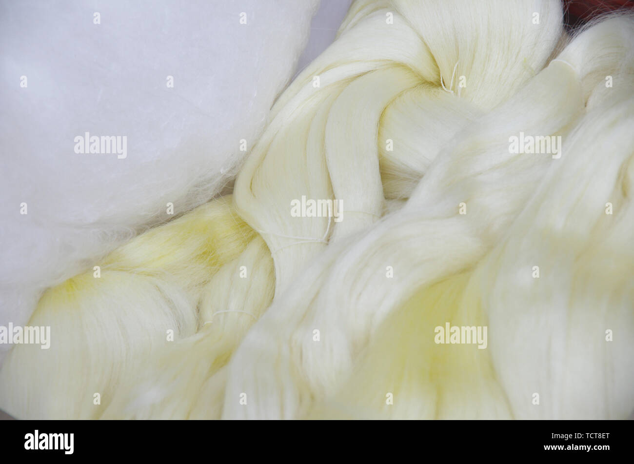 Silk, silkworm pupa Stock Photo - Alamy