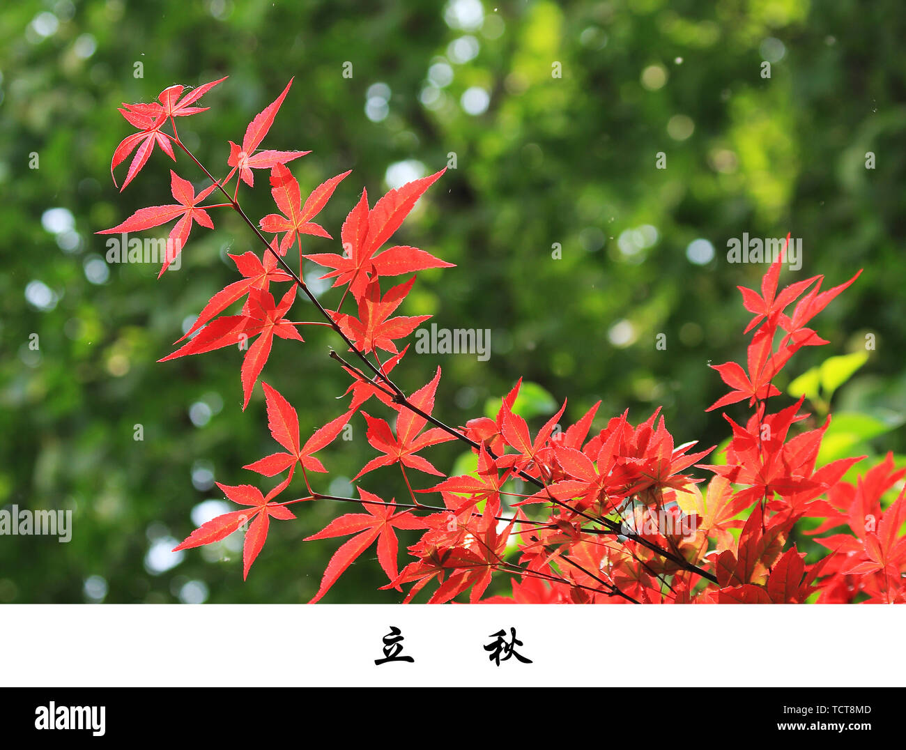 24 solar terms hi-res stock photography and images - Alamy