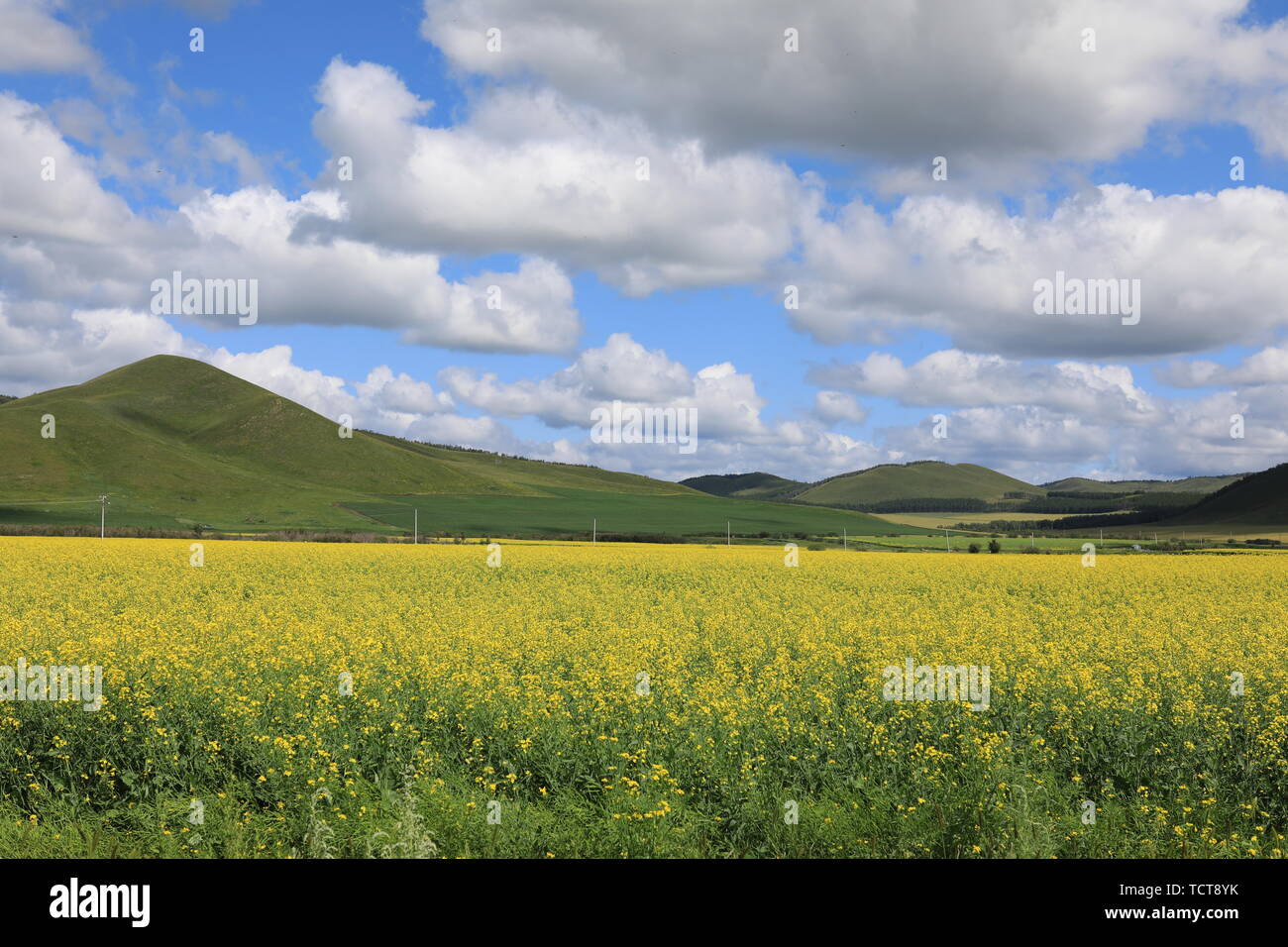 National prairie crops hi-res stock photography and images - Alamy