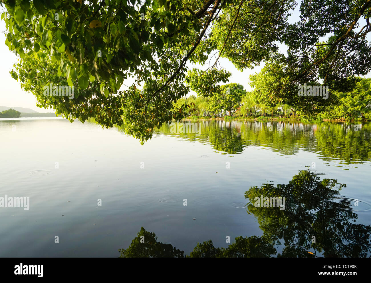 Spring color of West Lake Scenic Area Stock Photo - Alamy