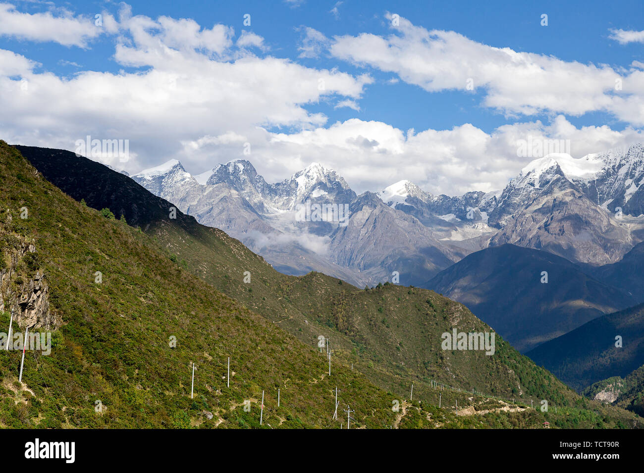 The original ecology hi-res stock photography and images - Alamy