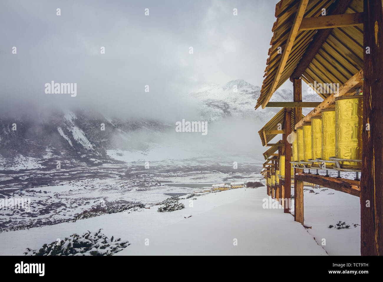 Muya hi-res stock photography and images - Alamy