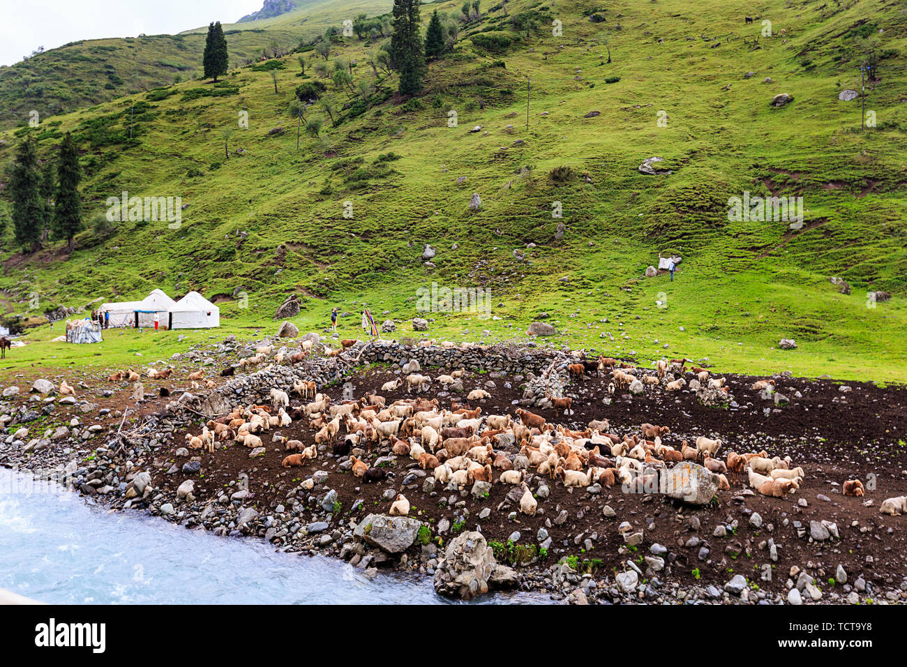 Landscape with nature Stock Photo - Alamy