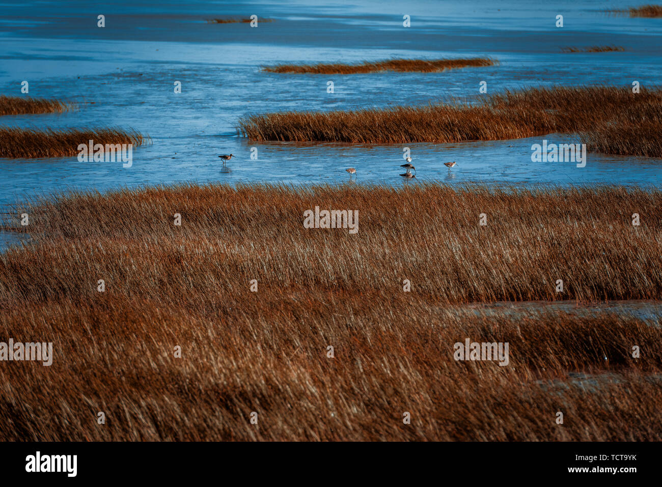 Dongtan lake hi-res stock photography and images - Alamy
