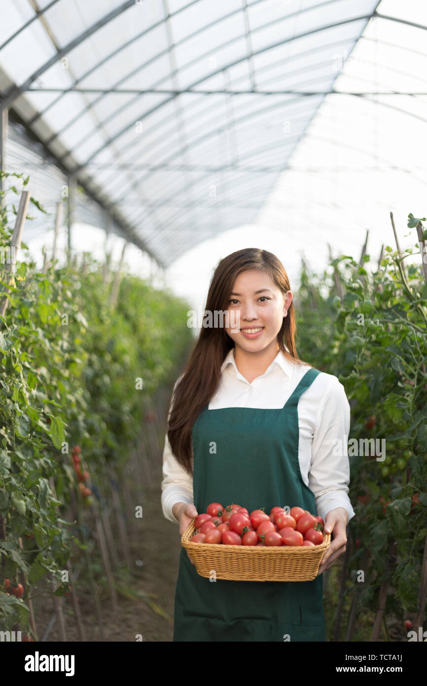 young beautiful chinese woman works in green field Stock Photo - Alamy