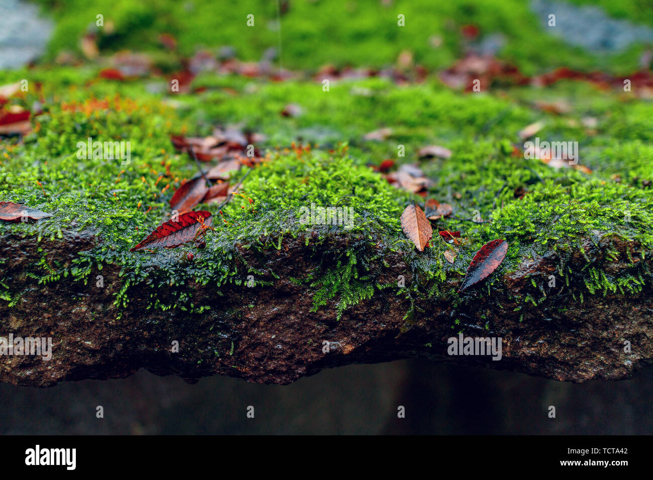 Huqiu towers hi-res stock photography and images - Alamy