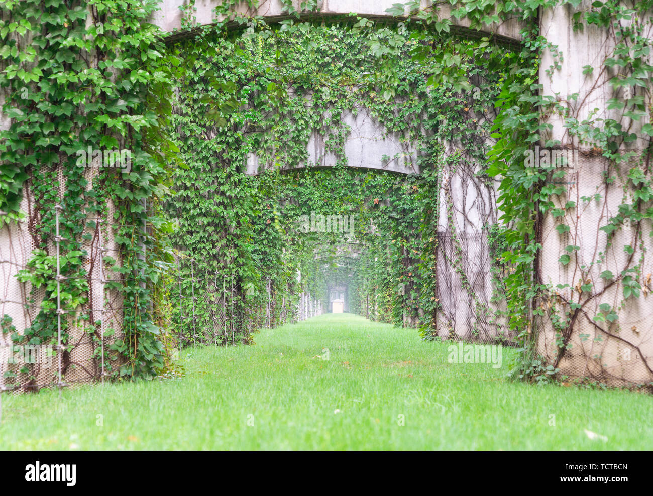 The green belt under the viaduct of Chengdu Second Ring Road is like a ...