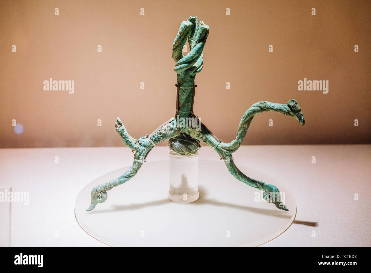 Bronze branch at Samsung Tap Museum Stock Photo - Alamy
