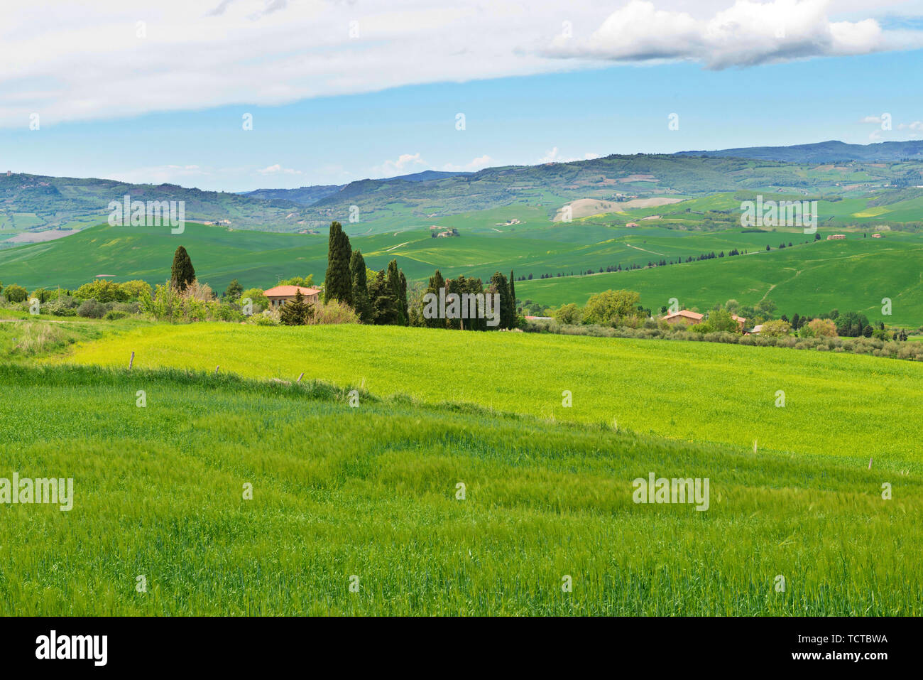 Beautiful spring landscape with hills in Tuscany Stock Photo - Alamy