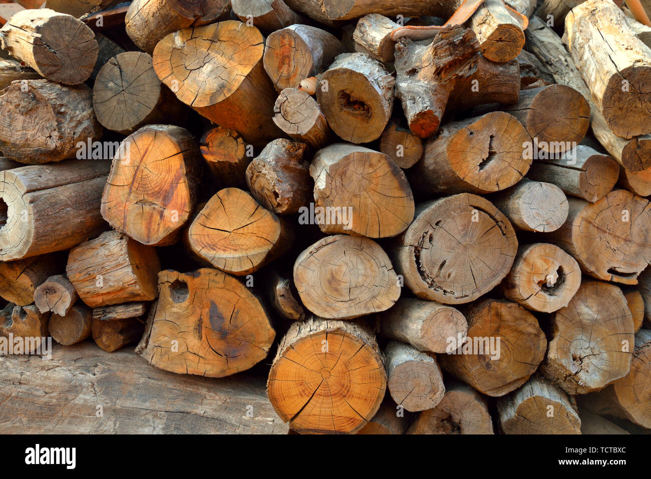 The stump piled up on the forest farm Stock Photo - Alamy