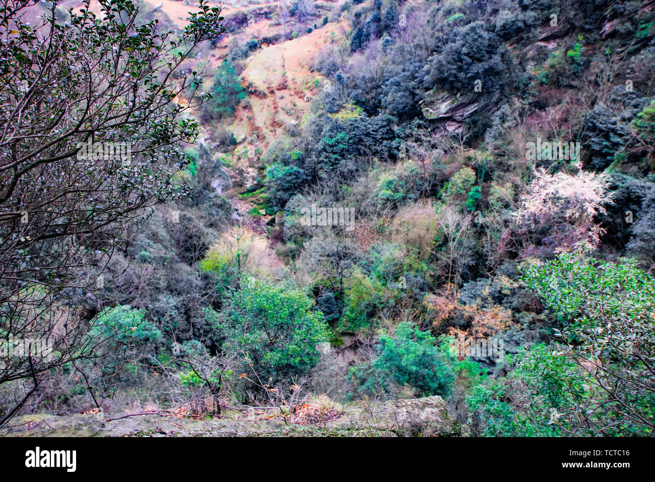 Photographer: Hu Wenkai Stock Photo - Alamy