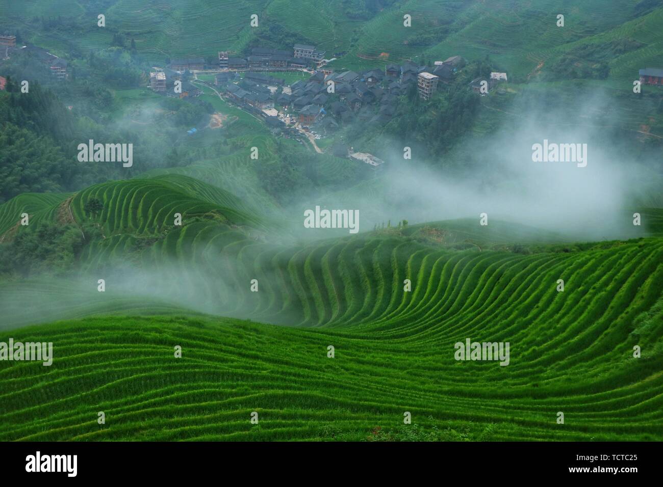 Green hills mist covered valleys hi-res stock photography and images ...