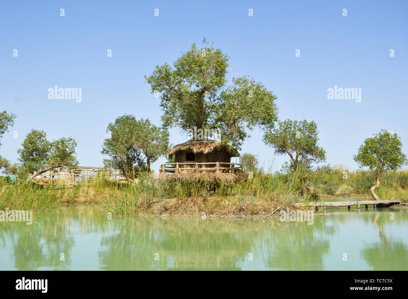 King Hu Yang Stock Photo - Alamy