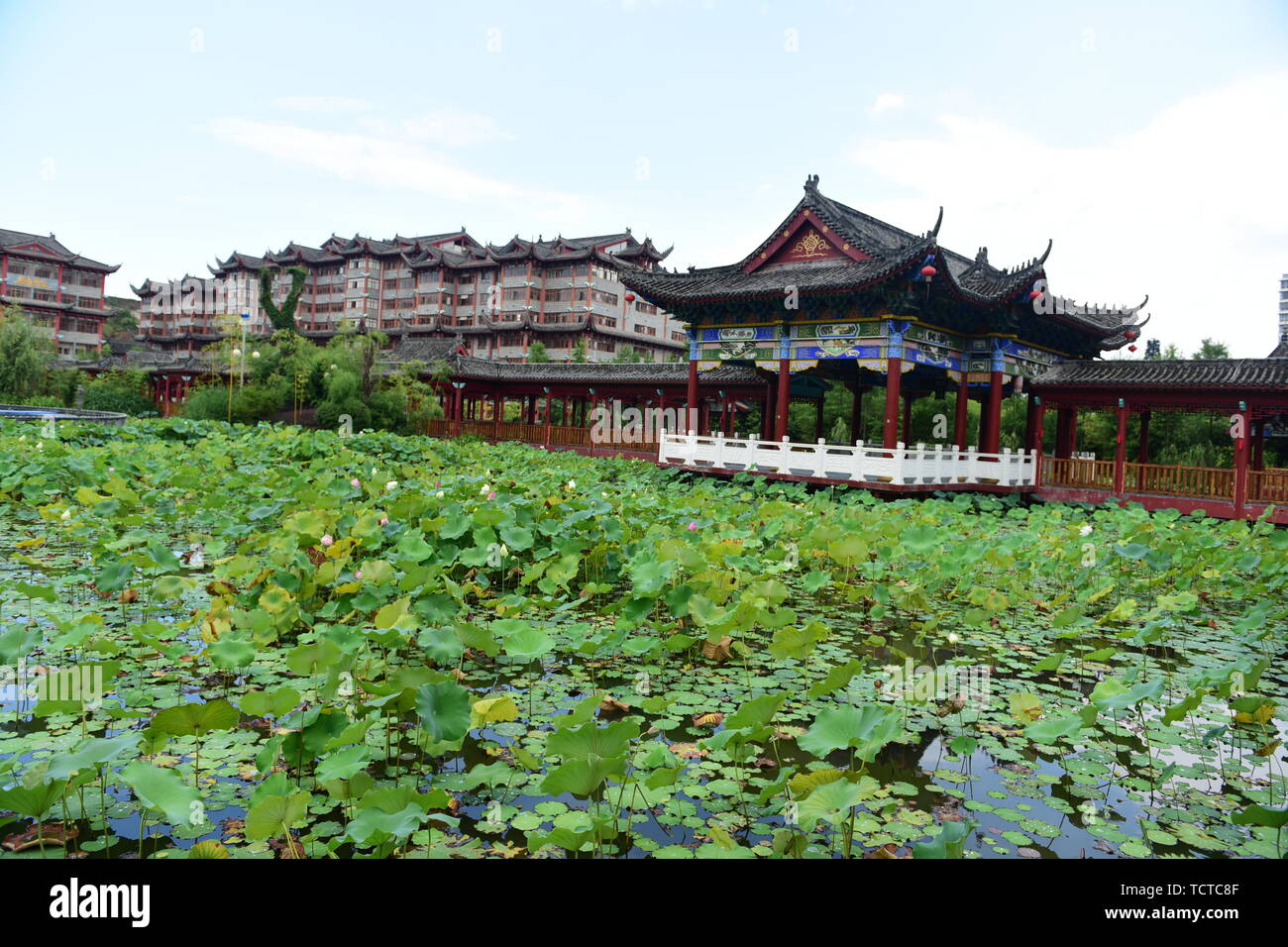 Traditional architecture and lotus pond Stock Photo - Alamy