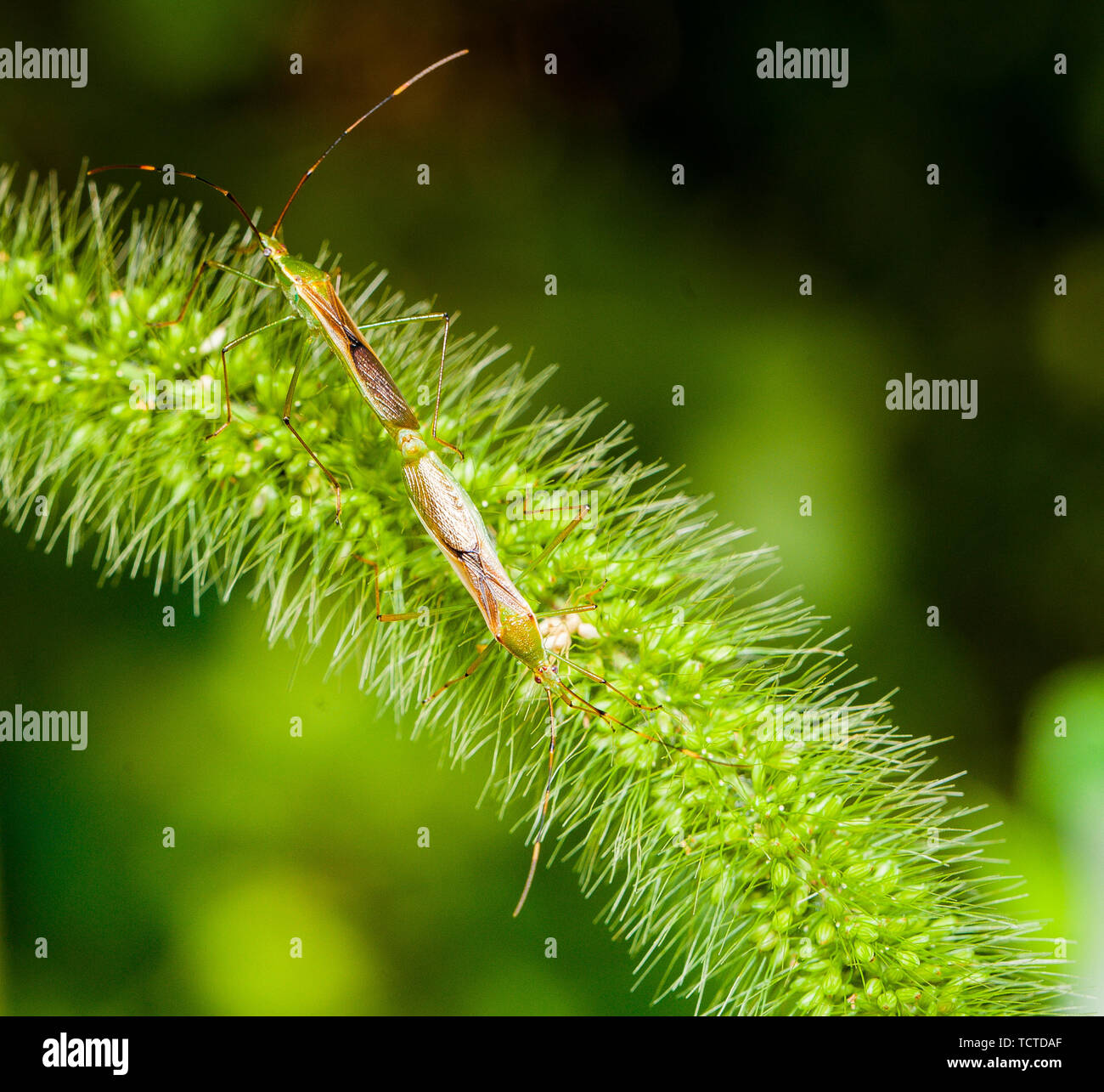 My life in photography Stock Photo - Alamy