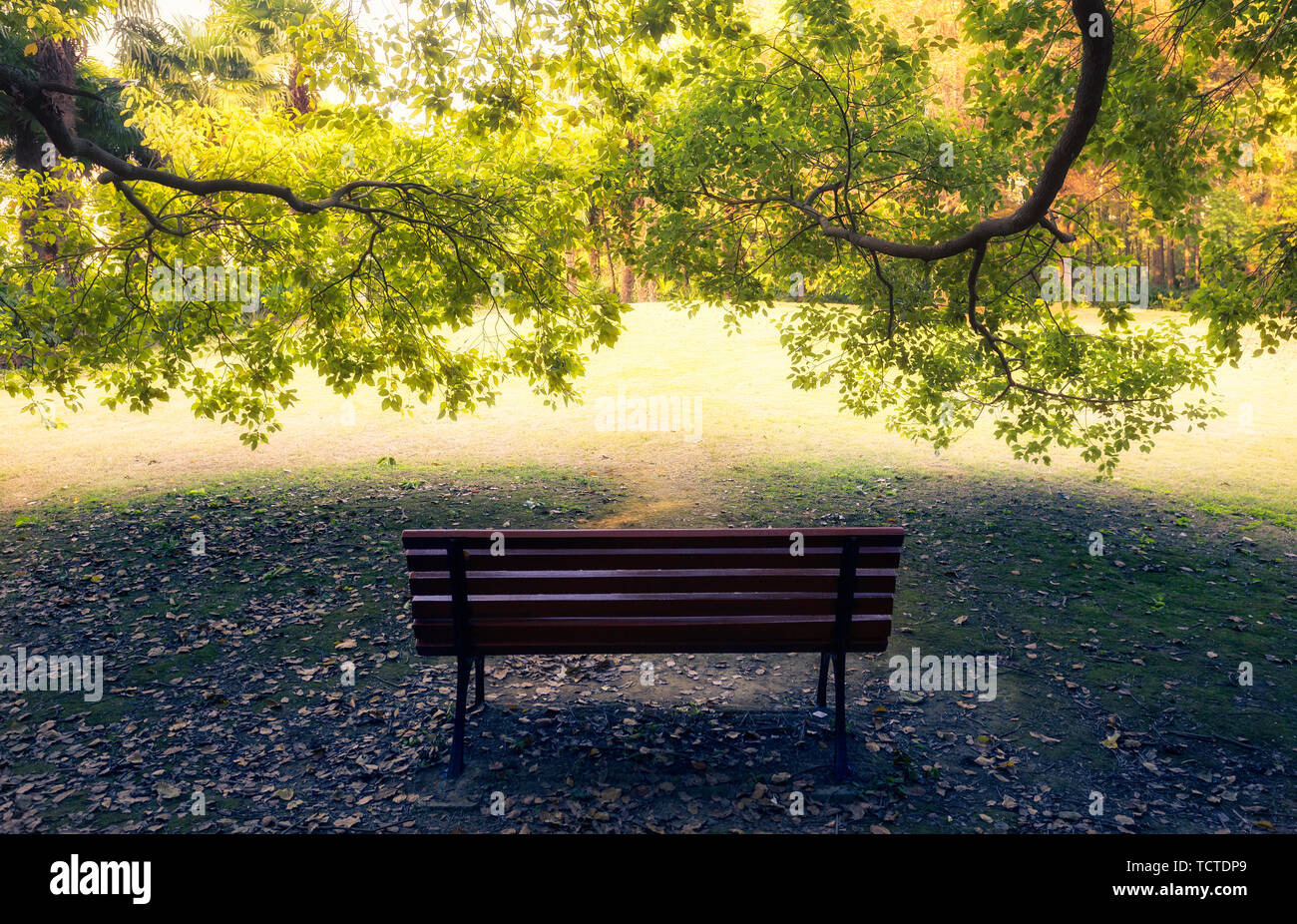 Binjiang park hi-res stock photography and images - Alamy