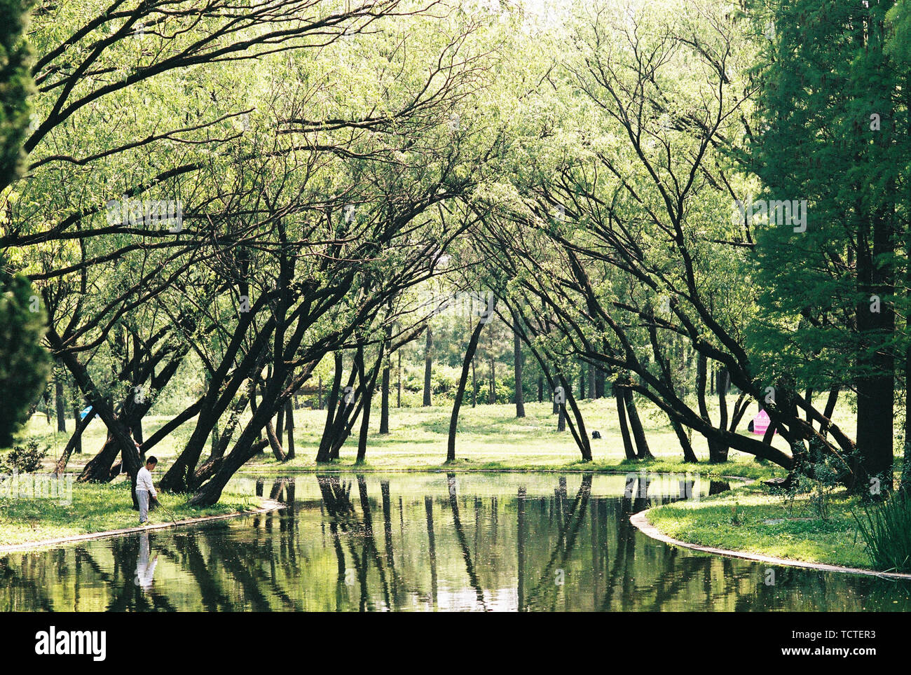 Shanghai film park hi-res stock photography and images - Alamy