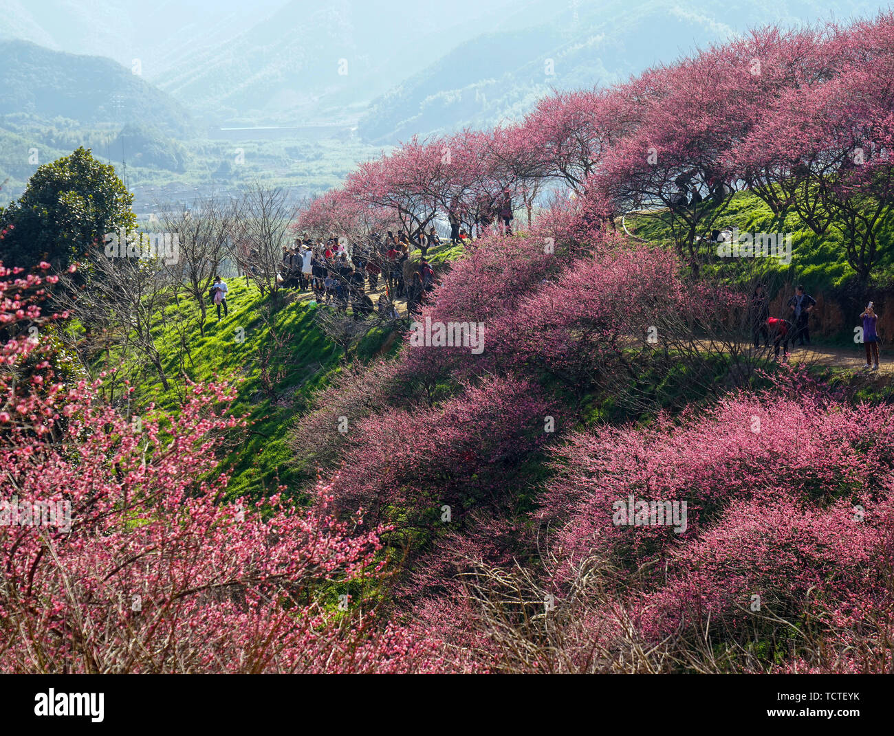 Meishan village hi-res stock photography and images - Alamy