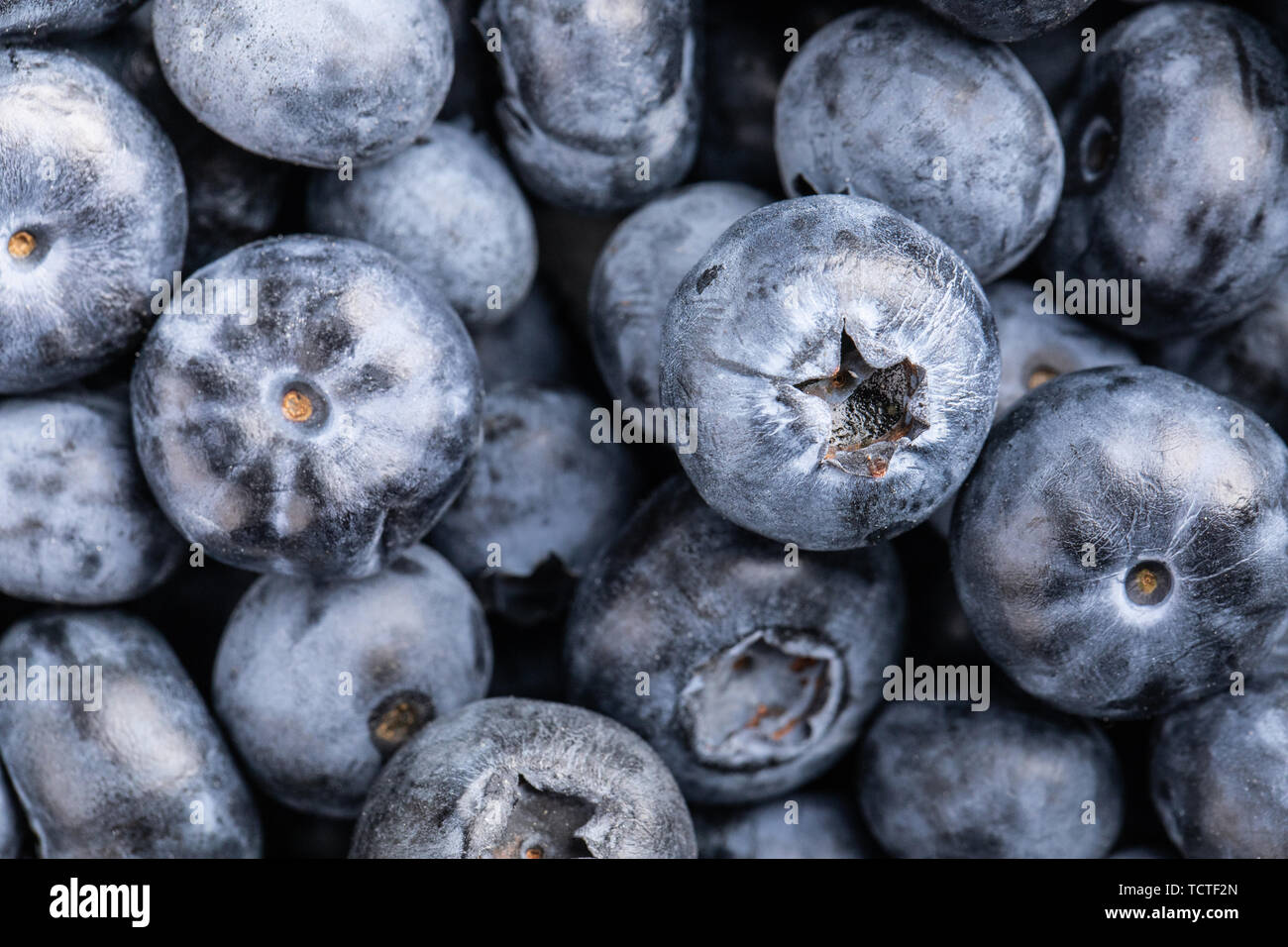 Blueberry creative photography Stock Photo - Alamy
