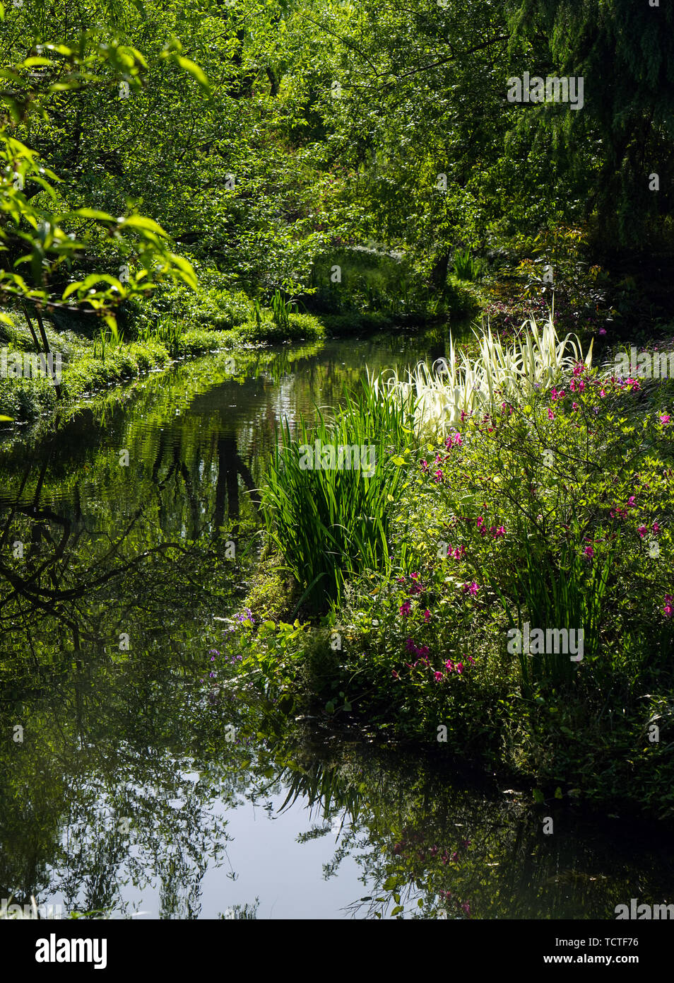 Spring color of West Lake Scenic Area Stock Photo - Alamy