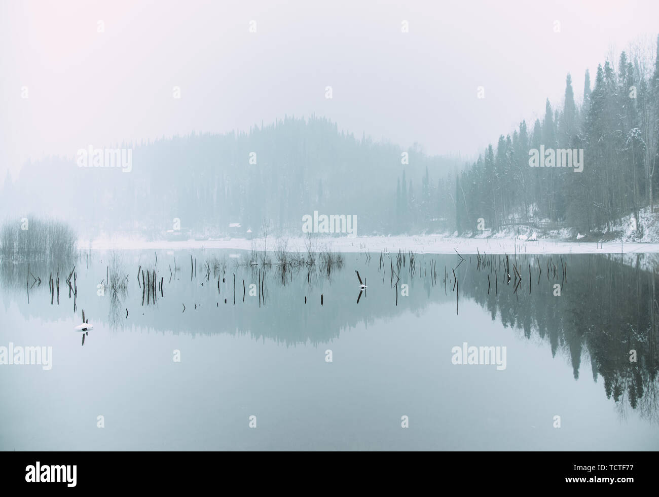 Longchi National Forest Park Stock Photo - Alamy