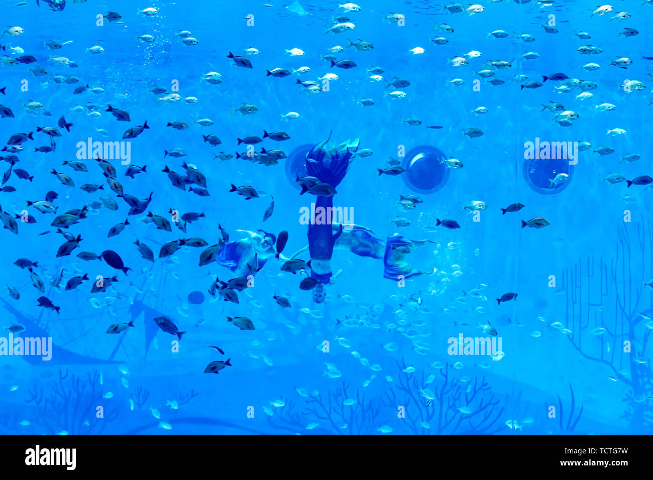 Mermaid performance at Haichang Ocean Park, Shanghai Stock Photo - Alamy